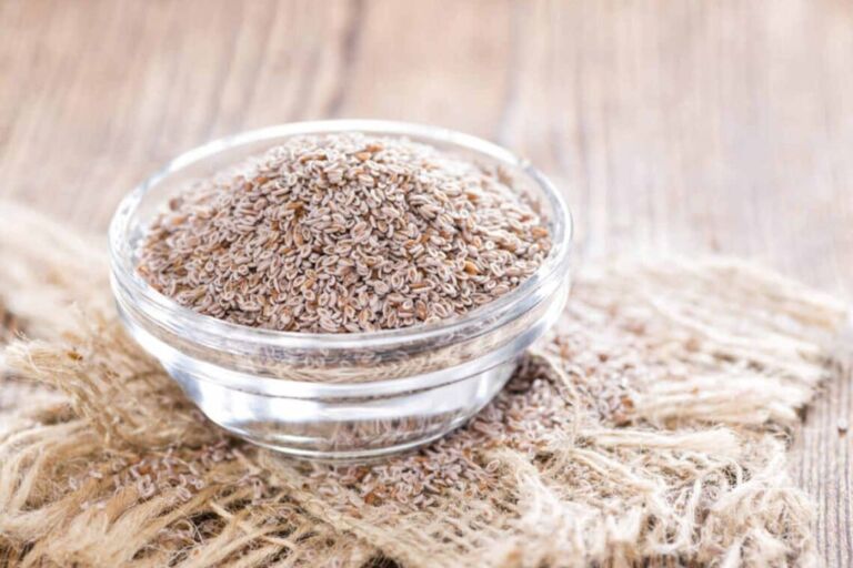 Psyllium: O Que É e Benefícios + Receita | Blog Sanavita
